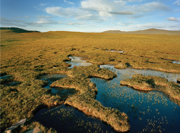 Exhibition explores how peatlands protect our planet | University of St ...