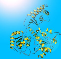 Volcanic bug aids ‘Children of the Moon’ | University of St Andrews news